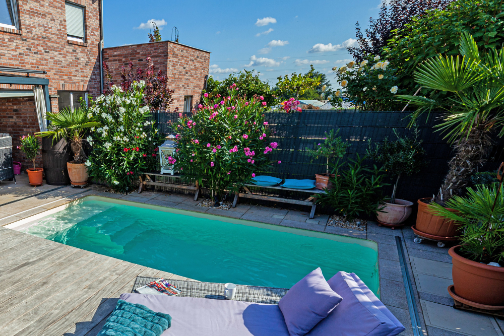 Poolside Paradise: Die schönsten Pflanzen für Ihren Poolbereich ...